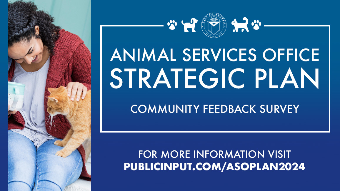 City of Austin Launches Animal Services Strategic Plan Survey | AustinTexas.gov
